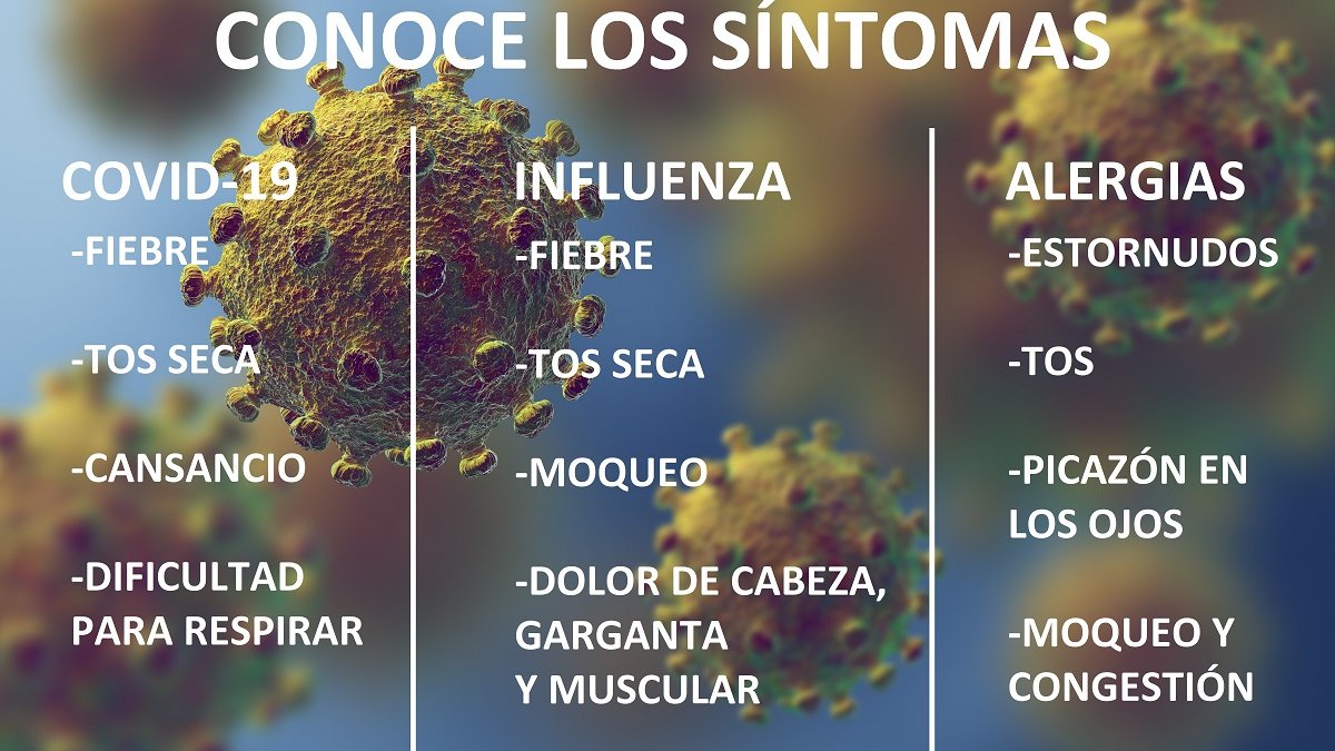 ¿Quién debe hacerse la prueba de detección de coronavirus? – Telemundo ...