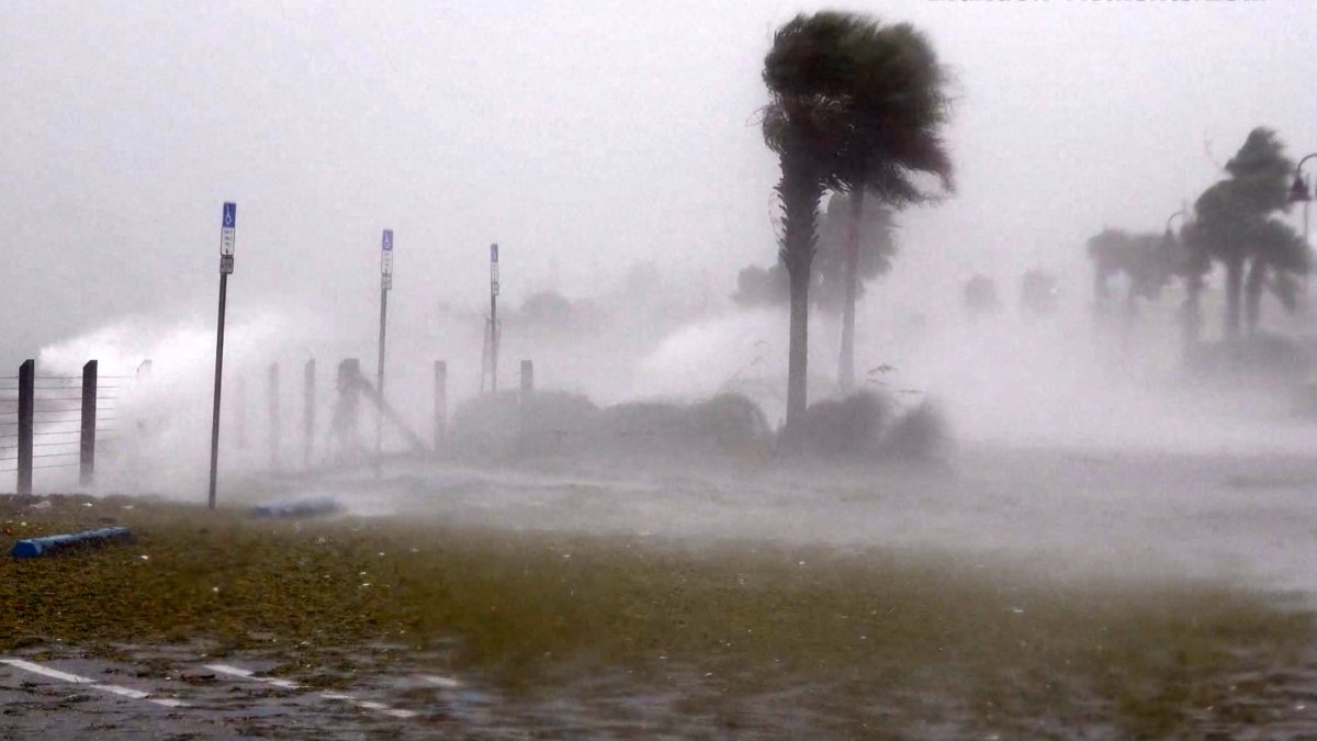 Captado en video: las ráfagas del huracán Sally castigan las costas de ...