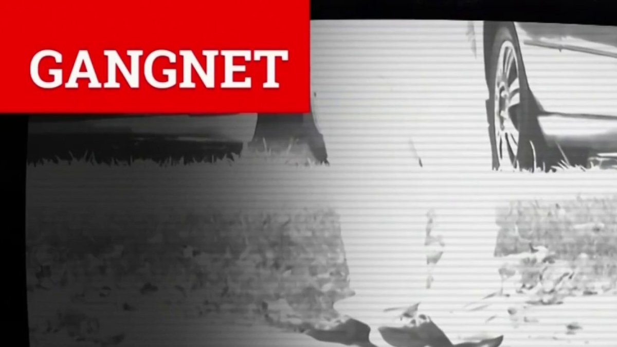 Condado Prince George’s seguirá usando controversial base de datos de ...