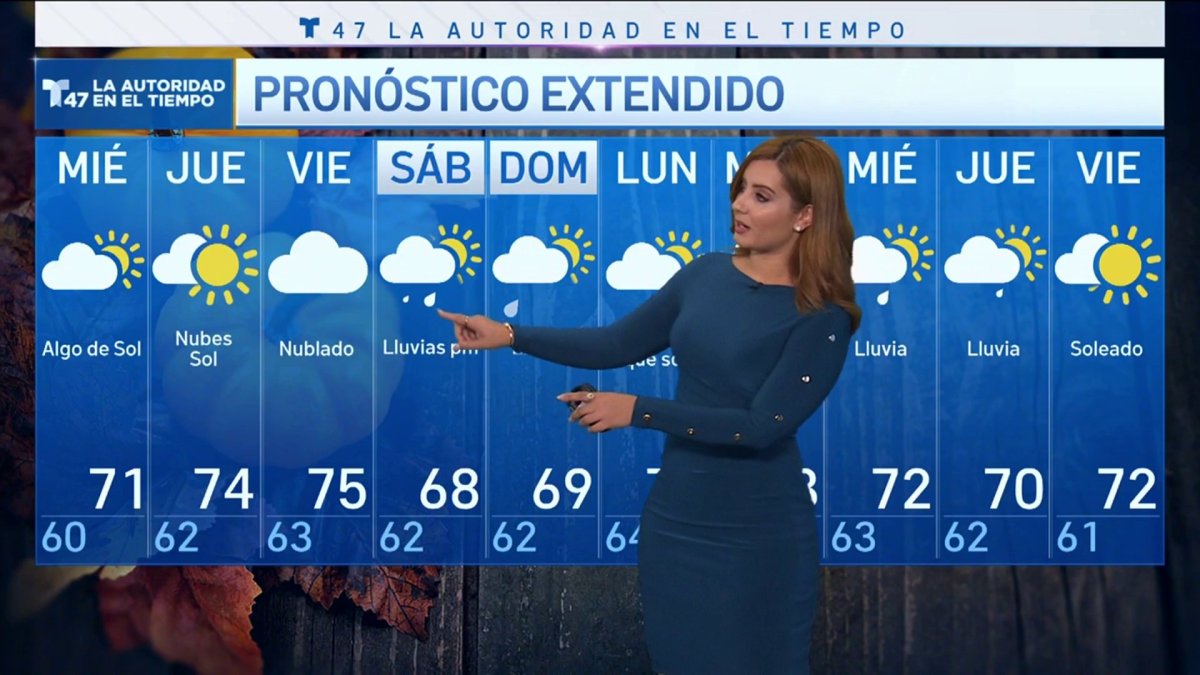Segmento del tiempo con Tairy Ynoa – Telemundo New York (47)