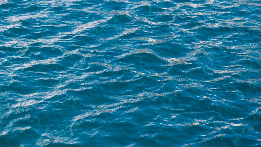 Telemundo Washington DC (44) – La estación de Telemundo para el area ...