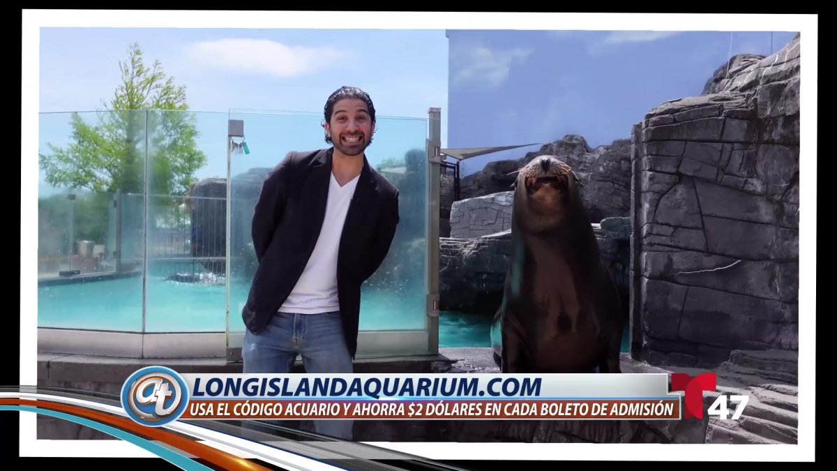 Mario Peguero visita el Long Island Aquarium – Telemundo New York (47)