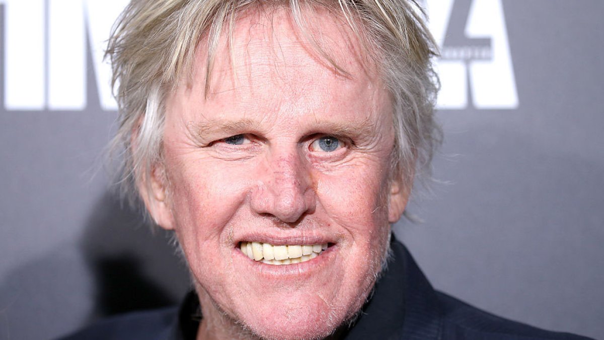Acusan al actor Gary Busey de delitos sexuales – Telemundo Washington ...