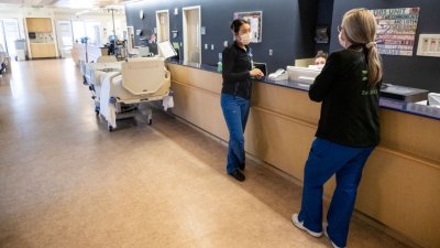 Telemundo New York (47) – Noticias de Nueva York, El Tiempo ...