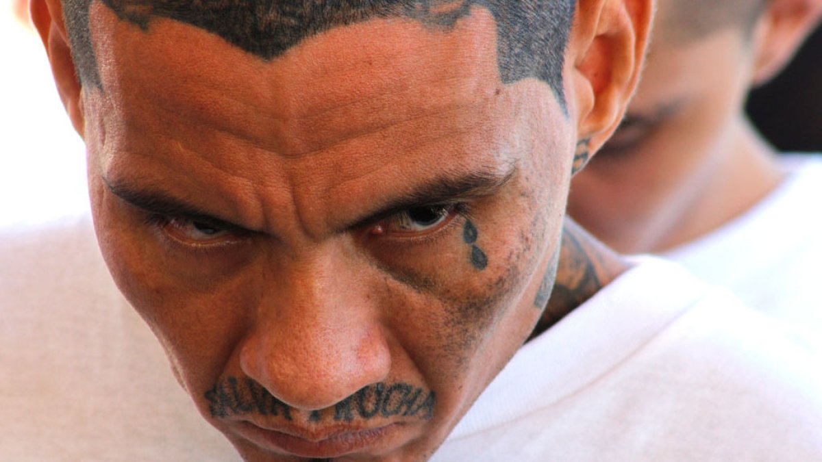 La historia de la Mara Salvatrucha – Telemundo Phoenix/Tucson