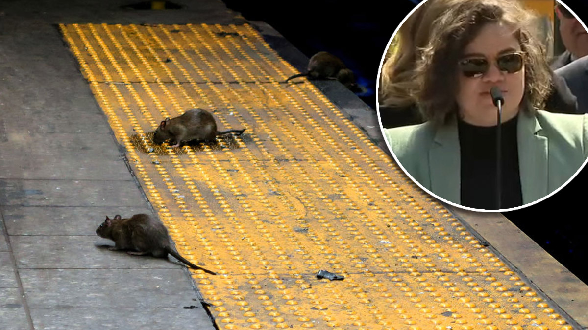 Nueva York tiene un zar de Ratas: Conoce a Kathleen Corradi – Telemundo ...