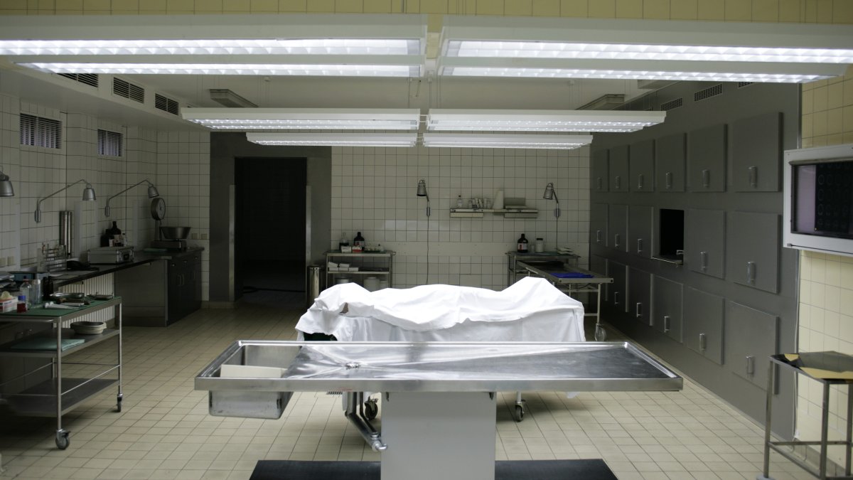 Demandan a extrabajadora de morgue de NY por publicar fotos de ...