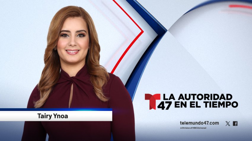 Tairy Ynoa – Telemundo New York (47)
