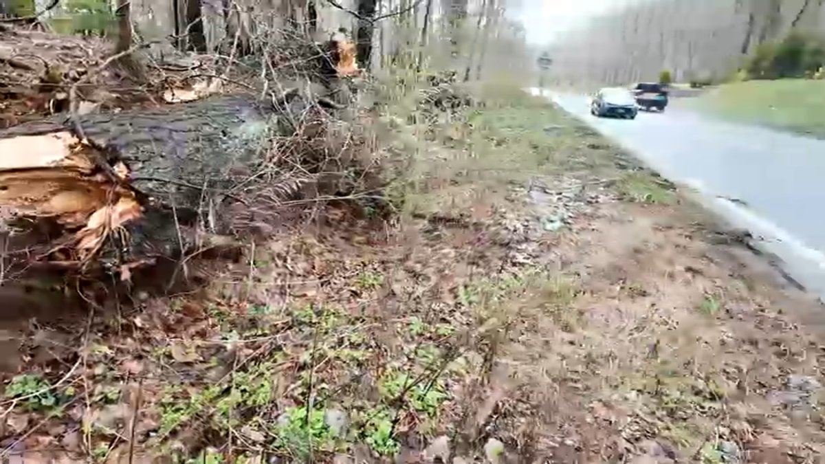 Nueva York: mujer muere en el condado de Westchester tras caída de ...