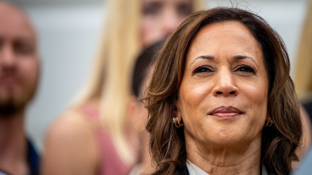 Elecciones en Estados Unidos: las ventajas y los desafíos de Kamala ...