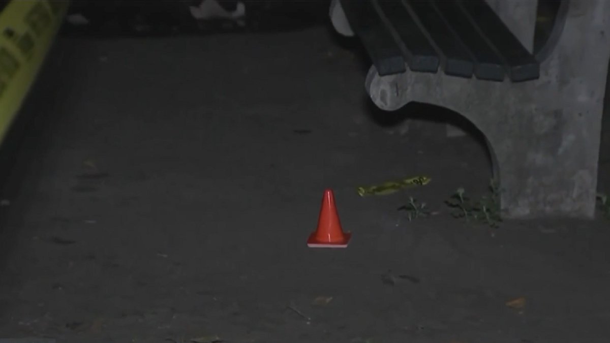 Acusan a trabajador de parques de asesinato en NYC – Telemundo New York ...