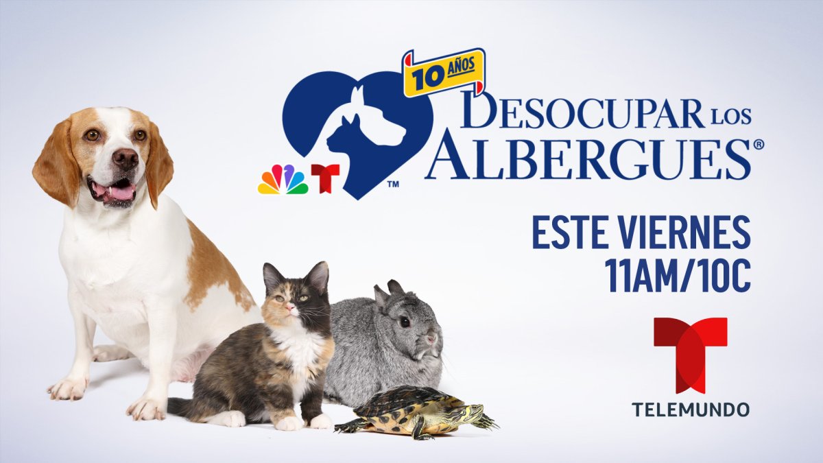 Cuándo Telemundo presentará el especial “Desocupar Los Albergues ...
