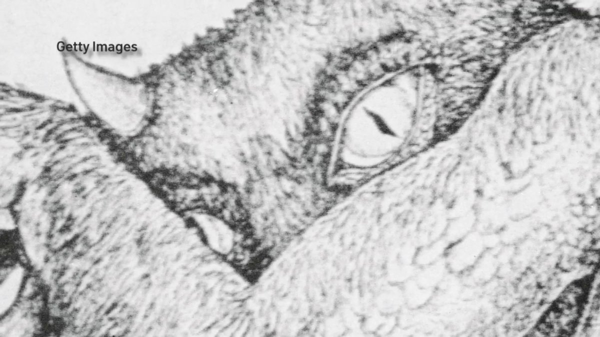Jersey Devil: ¿Es real la leyenda del Demonio de Jersey?? – Telemundo ...