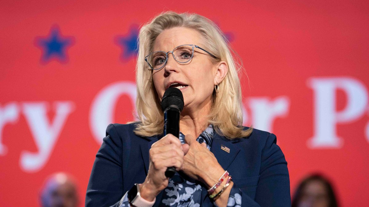 Cámara Baja: Republicanos creen Liz Cheney debe ser investigada ...