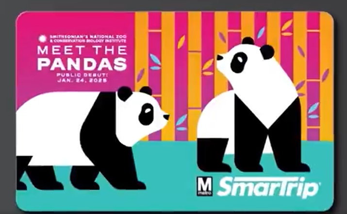 Dulces, tarjetas de Metro: regresa la pandamanía a Washington DC ...