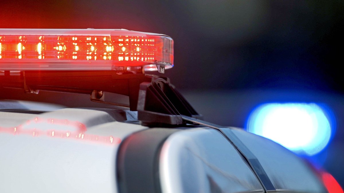 Rockville: hombre habría abusado sexualmente de una menor y un perro ...