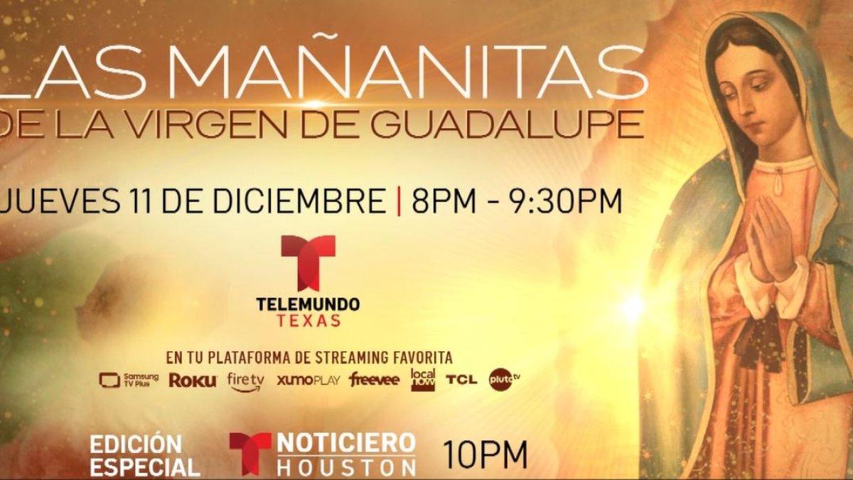 Especial de la Virgen de Guadalupe en Telemundo – Telemundo Washington ...