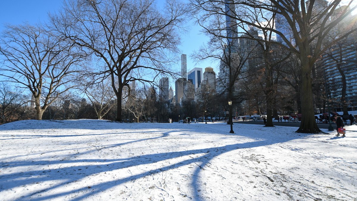 ¿Cuánta nieve caerá en la zona de Nueva York el domingo? – Telemundo ...