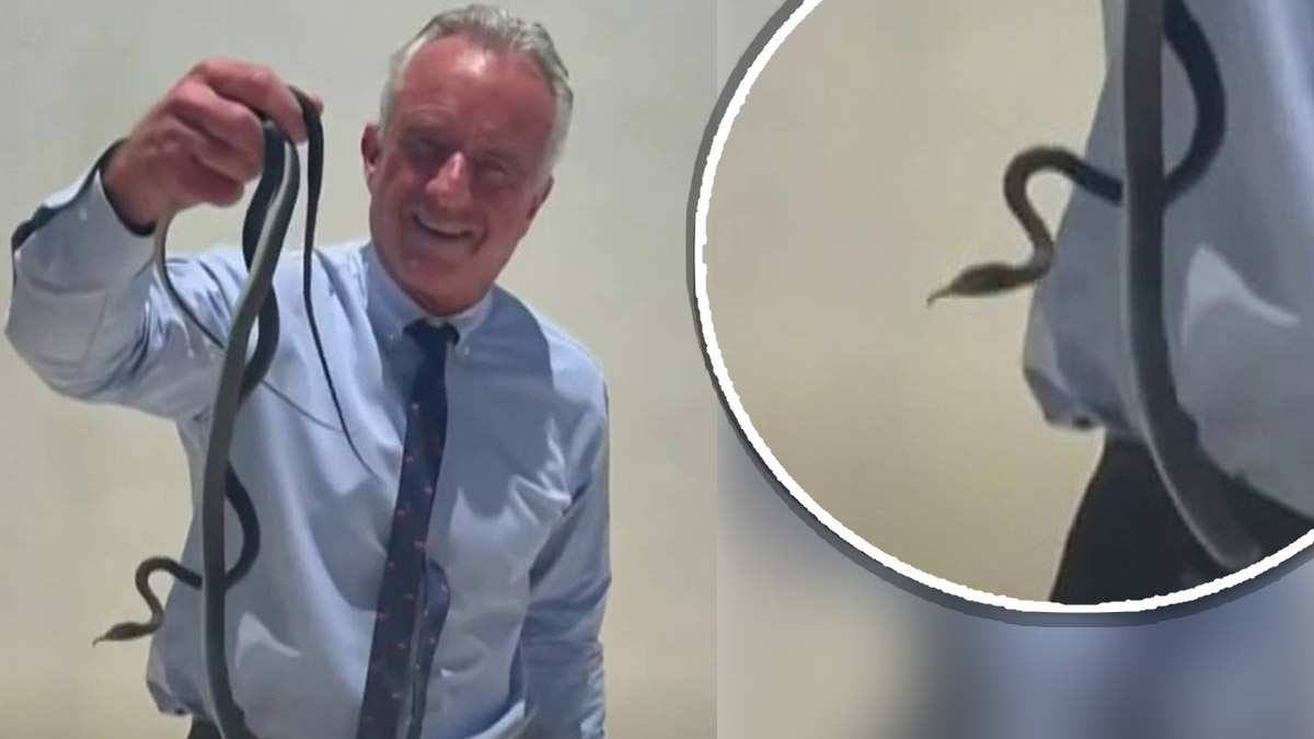 Robert Kennedy Jr. causa revuelo al atrapar con sus manos – Telemundo ...